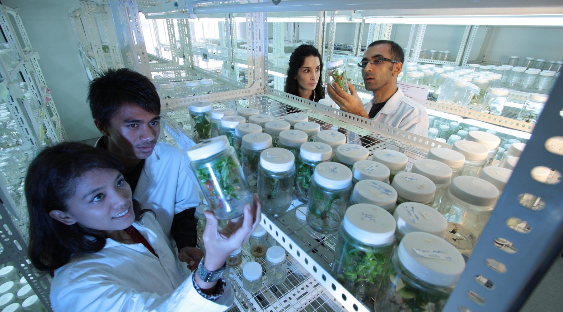 ISO 56002 Innovation Management System - Standards Explained